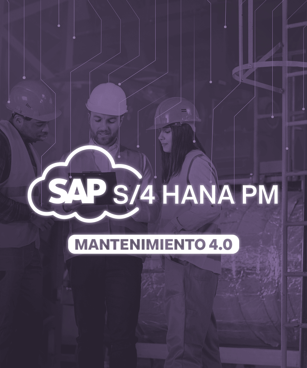 Acti Perú | Cursos SAP en Lima